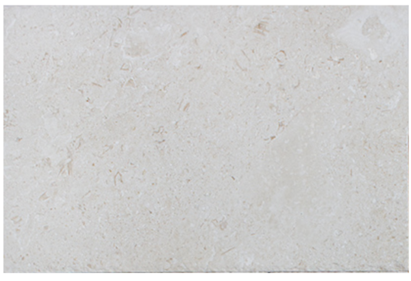 24x48 SHELL STONE Premium Select TILE - Stone-Mart
